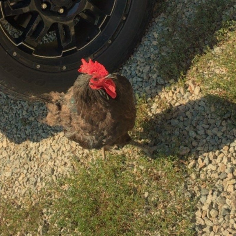 Des🫶🏻 (@dessie2404) | Snapchat Stories, Spotlight & Lenses