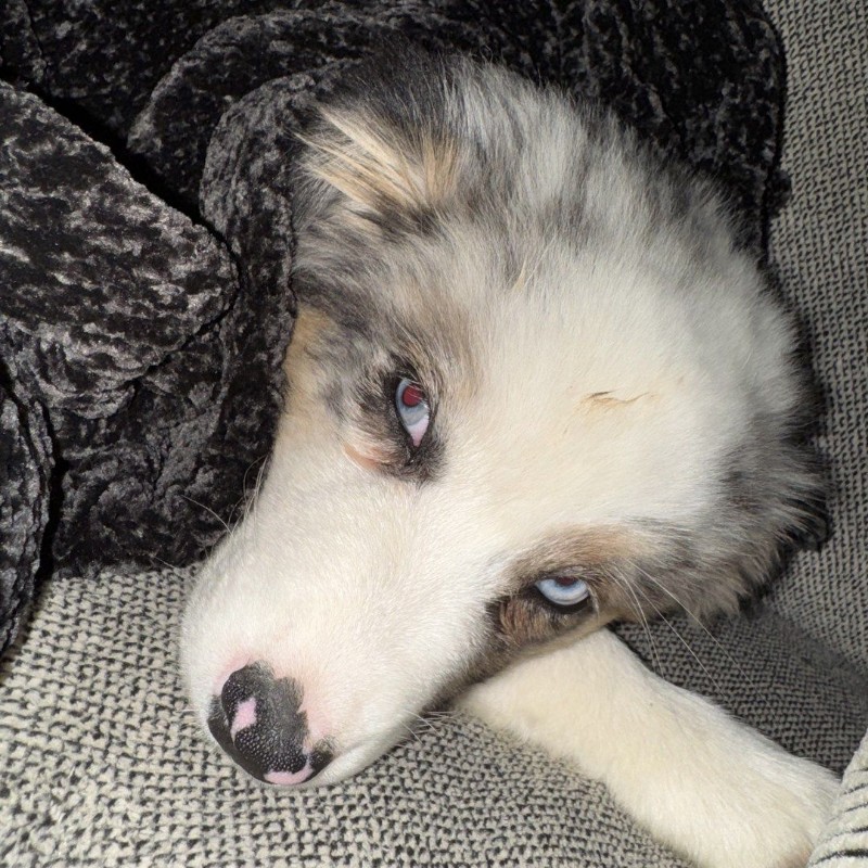 ℛ♡︎ (@deviousdylan23) | Snapchat Stories, Spotlight & Lenses