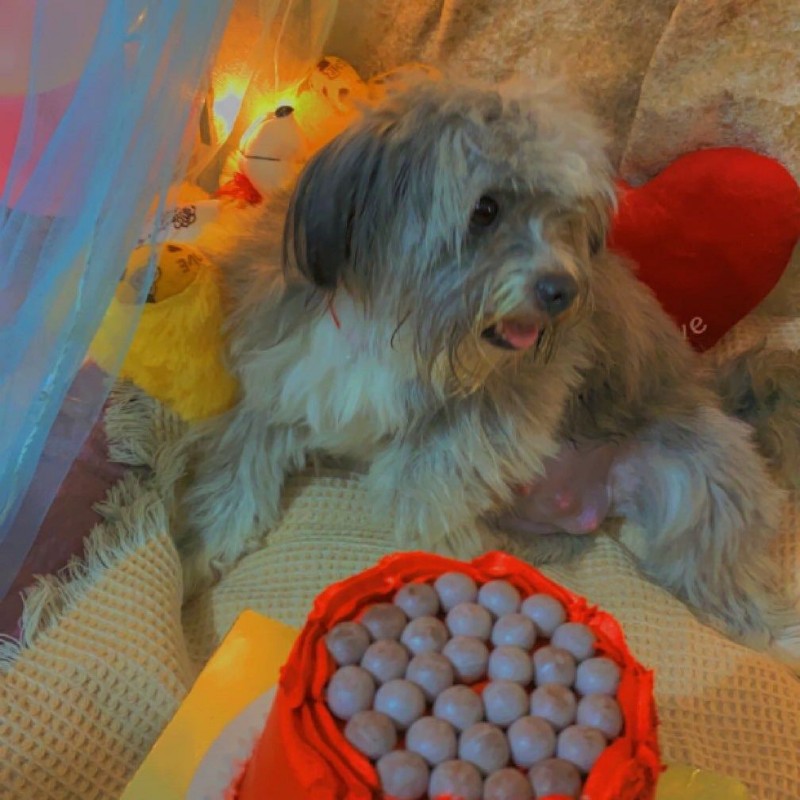 Dhara Tank (@dharaaaa25) | Snapchat Stories, Spotlight & Lenses