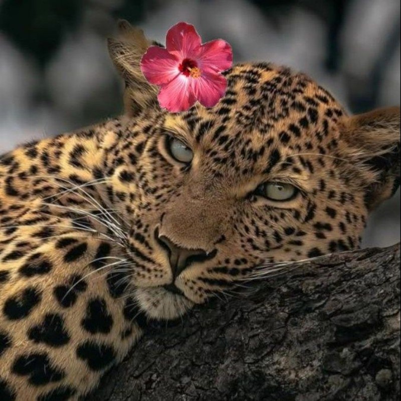 Di Lara 🪬 (@dilara_gher) | Snapchat Stories, Spotlight & Lenses