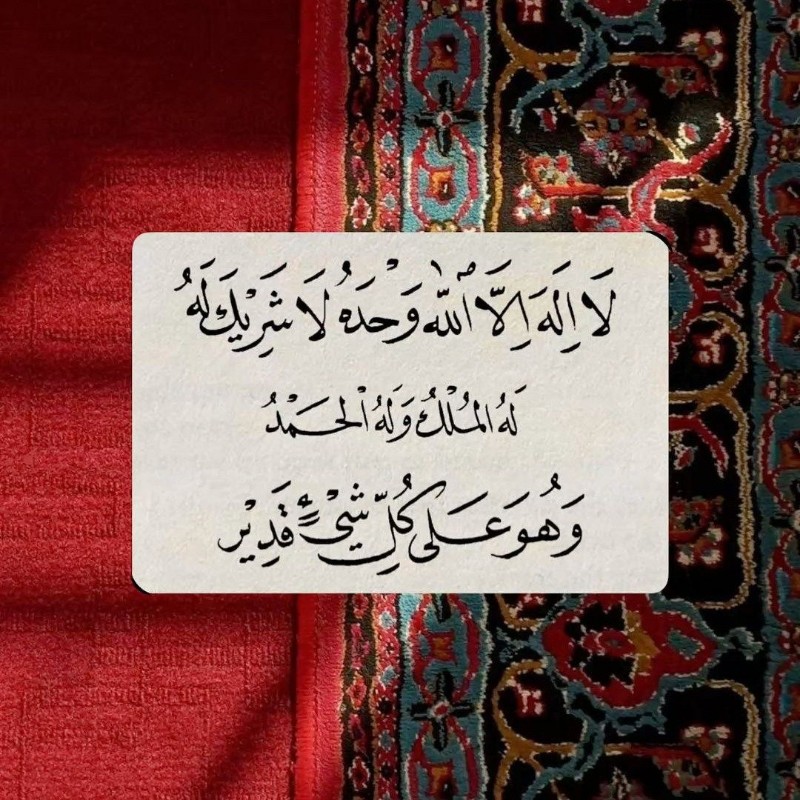 Dim Al Ali (@dim_alali) | Snapchat Stories, Spotlight & Lenses