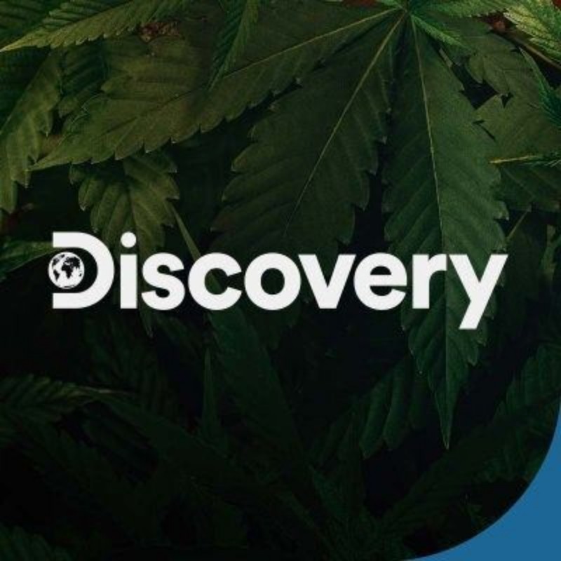 Discovery (@discovery) | Snapchat Stories, Spotlight & Lenses