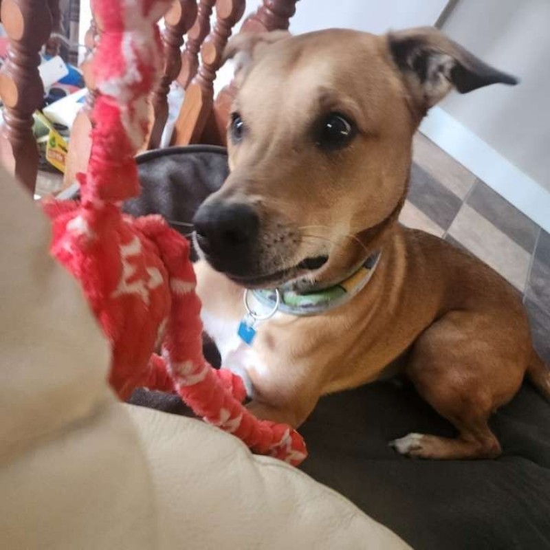 ᥴ🎧miacore🦈🎸 (@distycaf3) | Snapchat Stories, Spotlight & Lenses