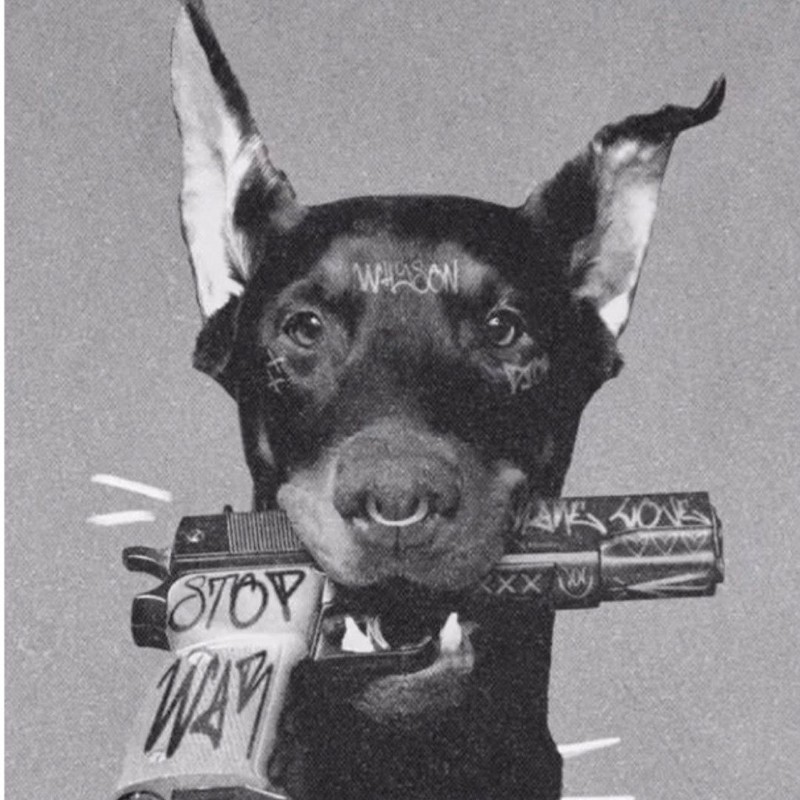 Rahul 🦦 (@dixit-rahul10) | Snapchat Stories, Spotlight & Lenses