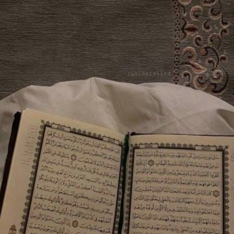 القرآن الكريم (@dlw_shgy) | Snapchat Stories, Spotlight & Lenses