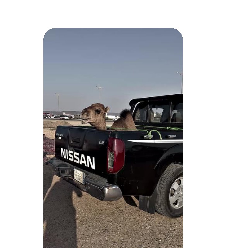 fes sefse(@do_k) | เรื่องราว Snapchat ตลอดจน Spotlight และเลนส์