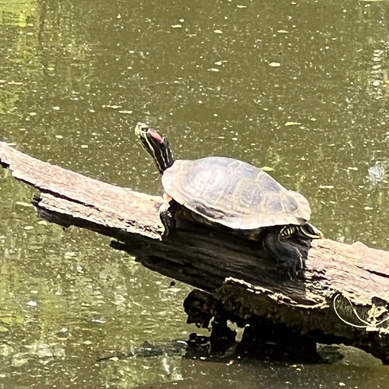 Dominic (@dom_gamble) | Snapchat Stories, Spotlight & Lenses