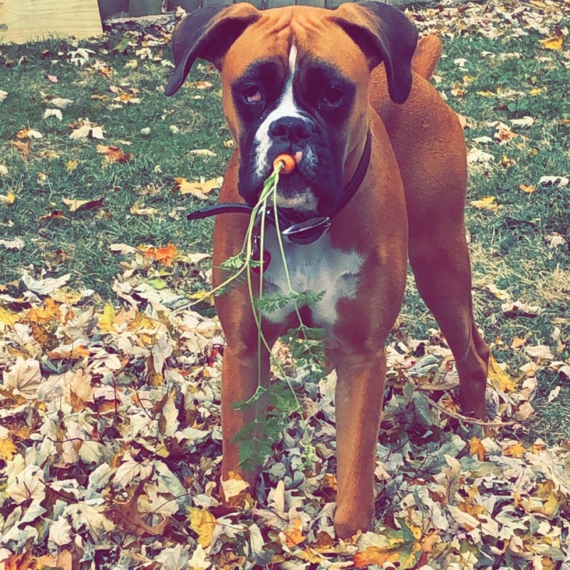 HOTH (@doug_let) | Snapchat Stories, Spotlight & Lenses