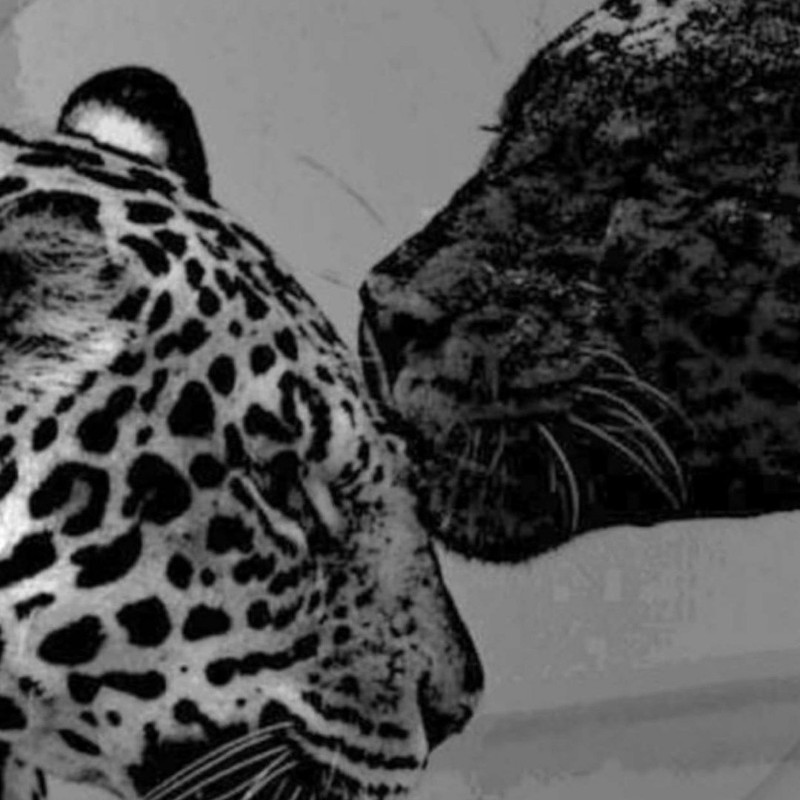 Doha 🦂 (@douha_bzr) | Snapchat Stories, Spotlight & Lenses