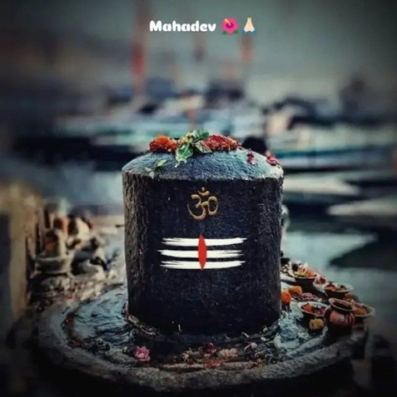 🅰🅷🅰🅳🅴🆅 🅱🅷🅰🅺🆃 (@dp1234525) | Snapchat Stories, Spotlight & Lenses