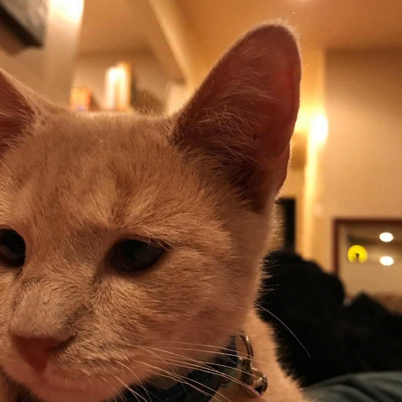 Damon Percy (@dpvictory) | Snapchat Stories, Spotlight & Lenses