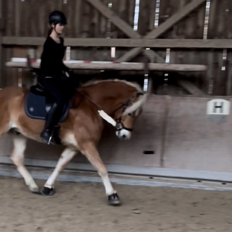 𝐌𝐚𝐣𝐚ꨄ (@dressur.tinker) | Snapchat Stories, Spotlight & Lenses