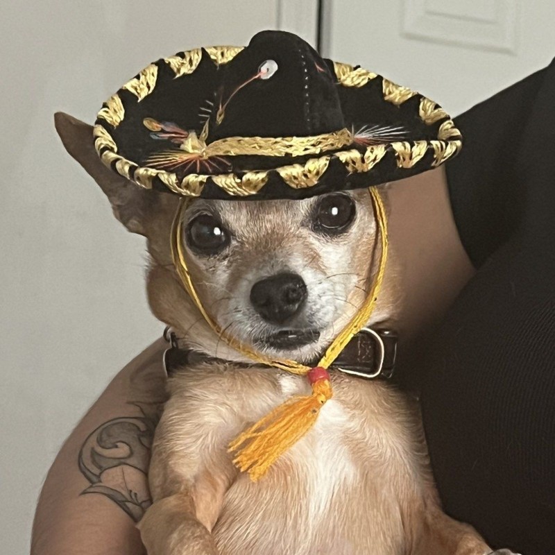 Andrew (@drewwasx) | Snapchat Stories, Spotlight & Lenses