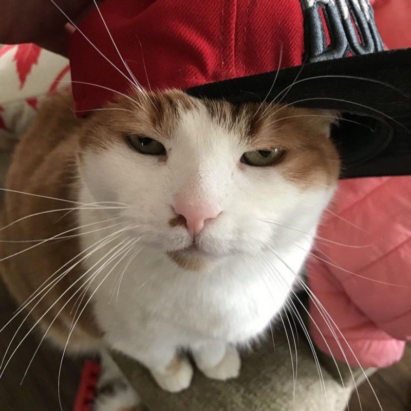 meo bel (@dtwnpro) | Snapchat Stories, Spotlight & Lenses