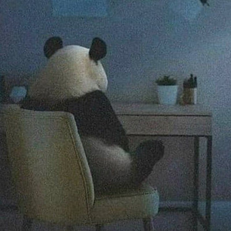 Q 🕊💙 (@e_nnnl) | Snapchat Stories, Spotlight & Lenses