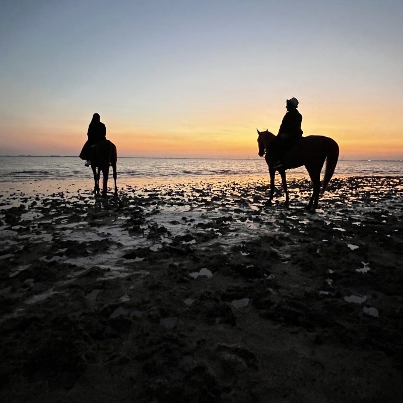 ابتسام 👑 (@ebtsam_alsag) | Snapchat Stories, Spotlight & Lenses