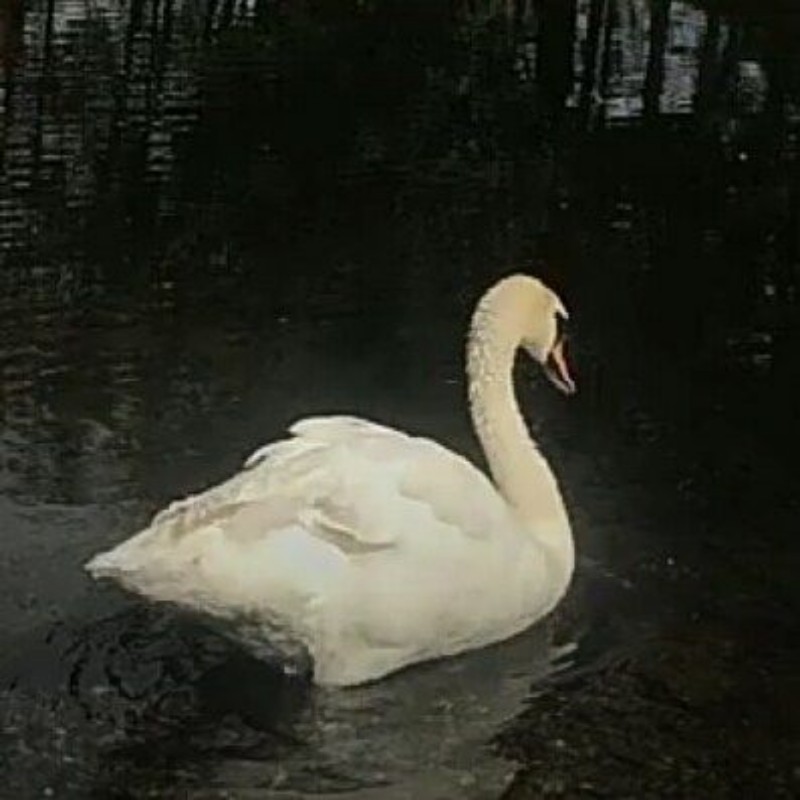 мƗᔕσχ☆━━━…‥・ (@editss_toworld) | Snapchat Stories, Spotlight & Lenses