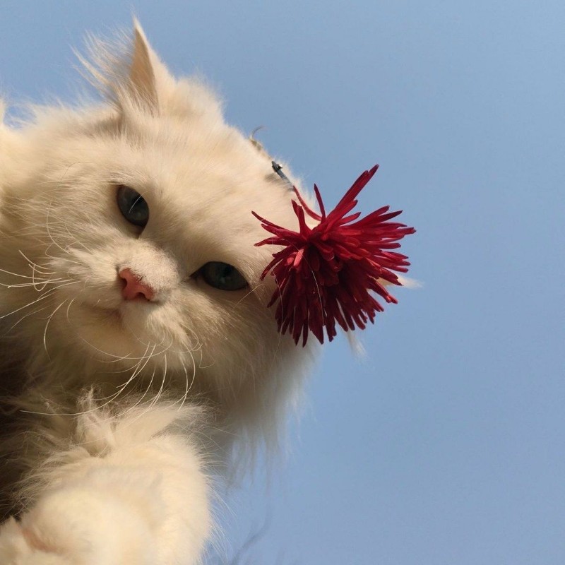 🚩 (@eeman_chx) | Snapchat Stories, Spotlight & Lenses