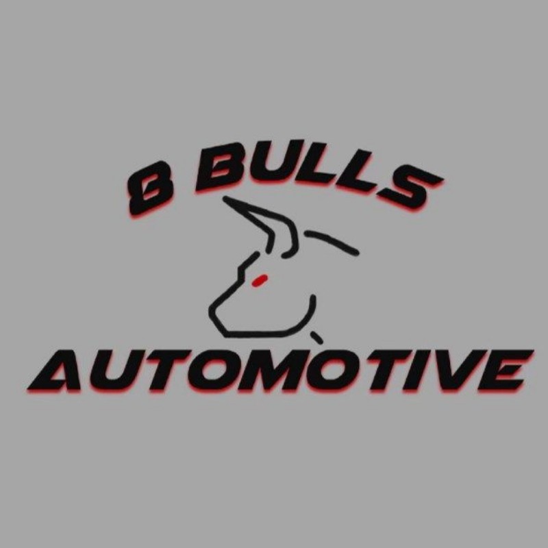 8 Bulls Automotive (@eightbullsauto) | Snapchat Stories, Spotlight & Lenses