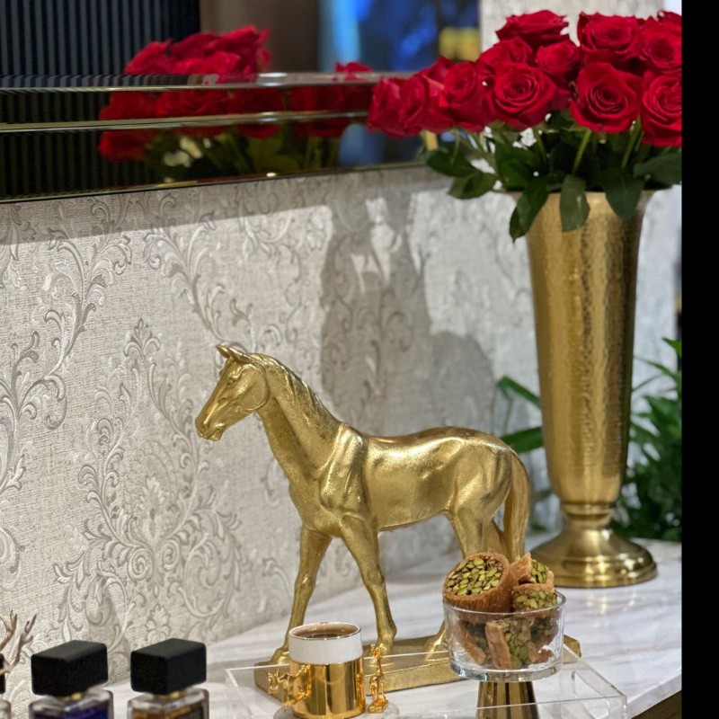 Elham (@elham_vip) | Snapchat Stories, Spotlight & Lenses