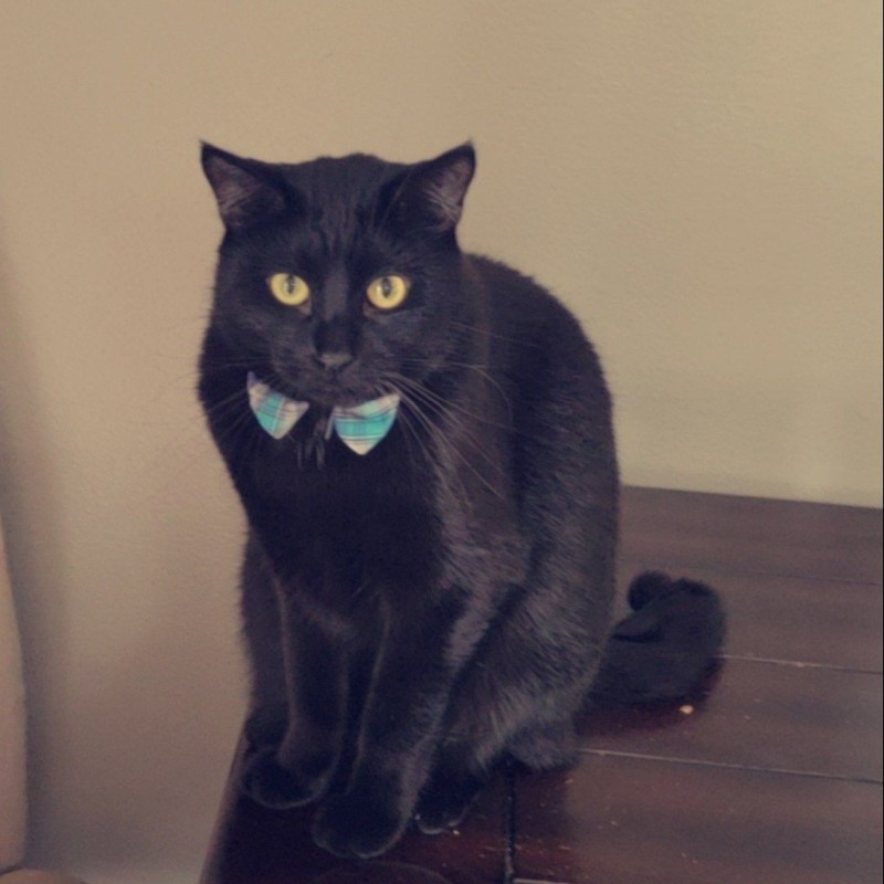 Ellie 🎀 ️🦭🦇🐬 (@elliebug9-29) | Snapchat Stories, Spotlight & Lenses