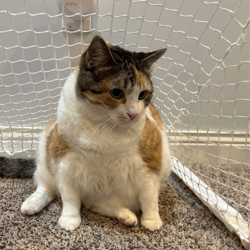 Elsey/LC Schornack(@elsey_schornack) | เรื่องราว Snapchat ตลอดจน ...