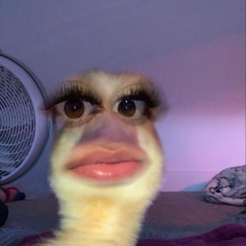 Ely🥹 (@elyyysor_elyy) | Snapchat Stories, Spotlight & Lenses