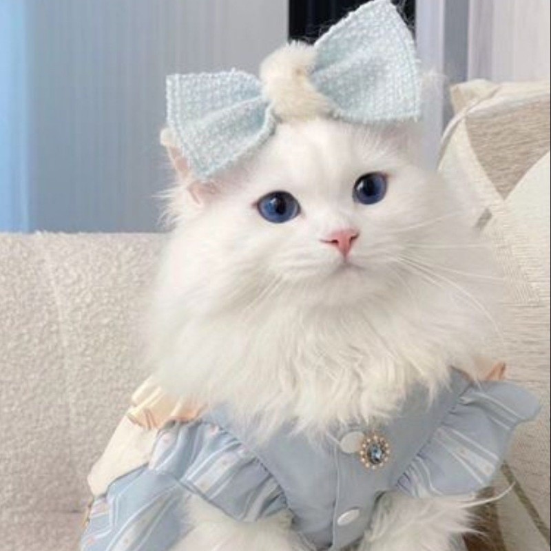 Emilia Moses (@emiliamoses867) | Snapchat Stories, Spotlight & Lenses