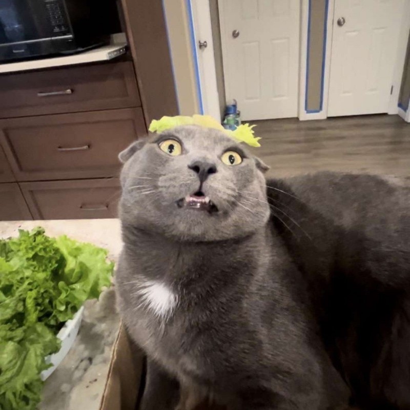 Emma Edwards (@emma_edwards16) | Snapchat Stories, Spotlight & Lenses