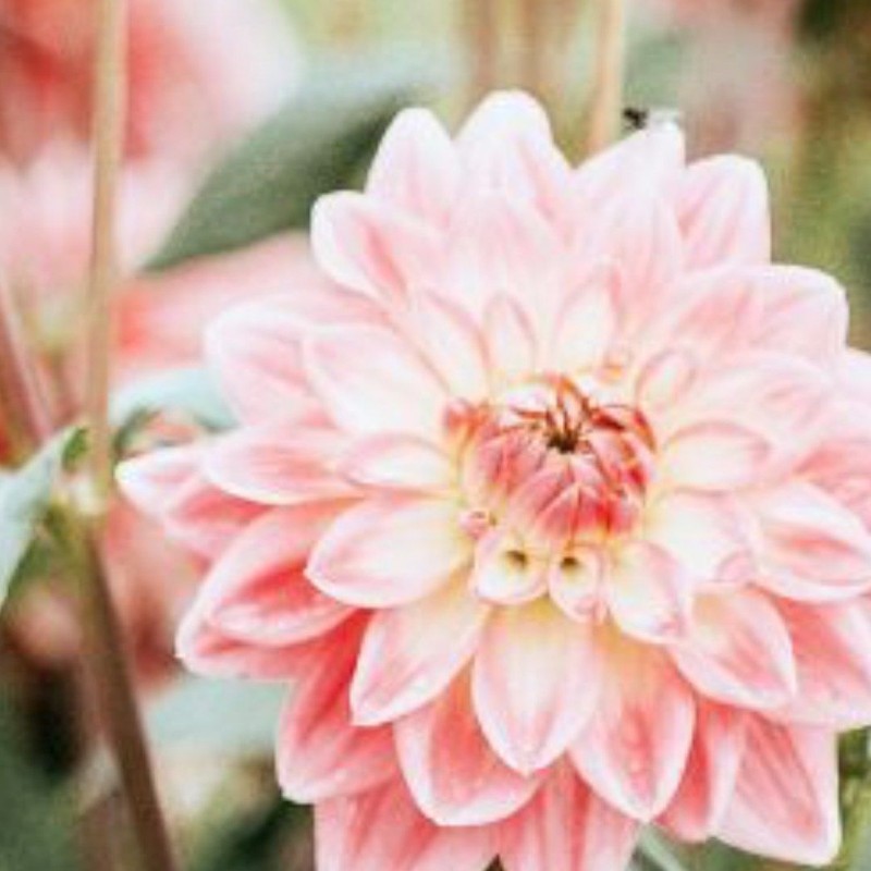 Emma Toplan (@emmatoplanbunny) | Snapchat Stories, Spotlight & Lenses