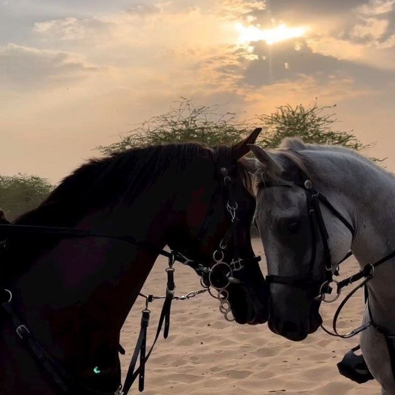 Shooq Mansoor🇴🇲 (@eng.shooqm) | Snapchat Stories, Spotlight & Lenses