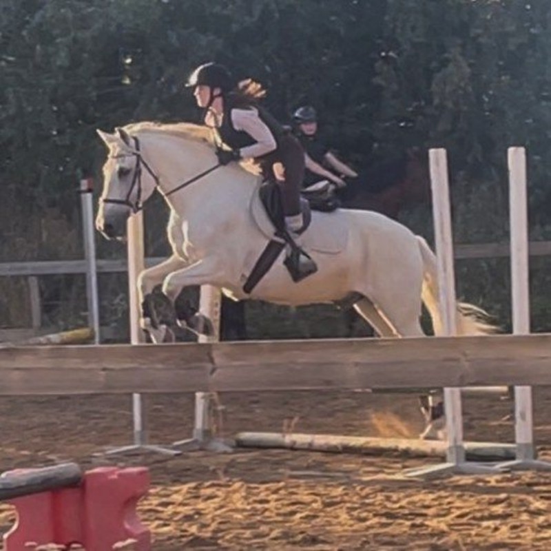 💞🐎𝓥𝓲𝓬𝓴𝔂🐎💞 (@equestrian1101) | Snapchat Stories, Spotlight & Lenses
