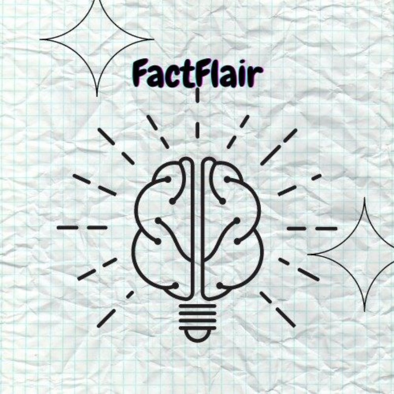Fact Flair (@factflair) | Snapchat Stories, Spotlight and Lenses