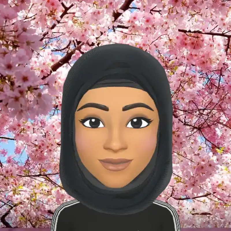 _inamohammed ️ (@faisa) | Snapchat Stories, Spotlight & Lenses