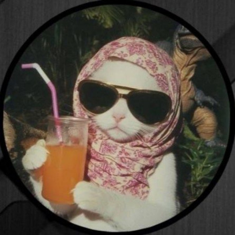 Fall-Trend🇲🇷🇸🇳 (@fall-trend) | Snapchat Stories, Spotlight & Lenses