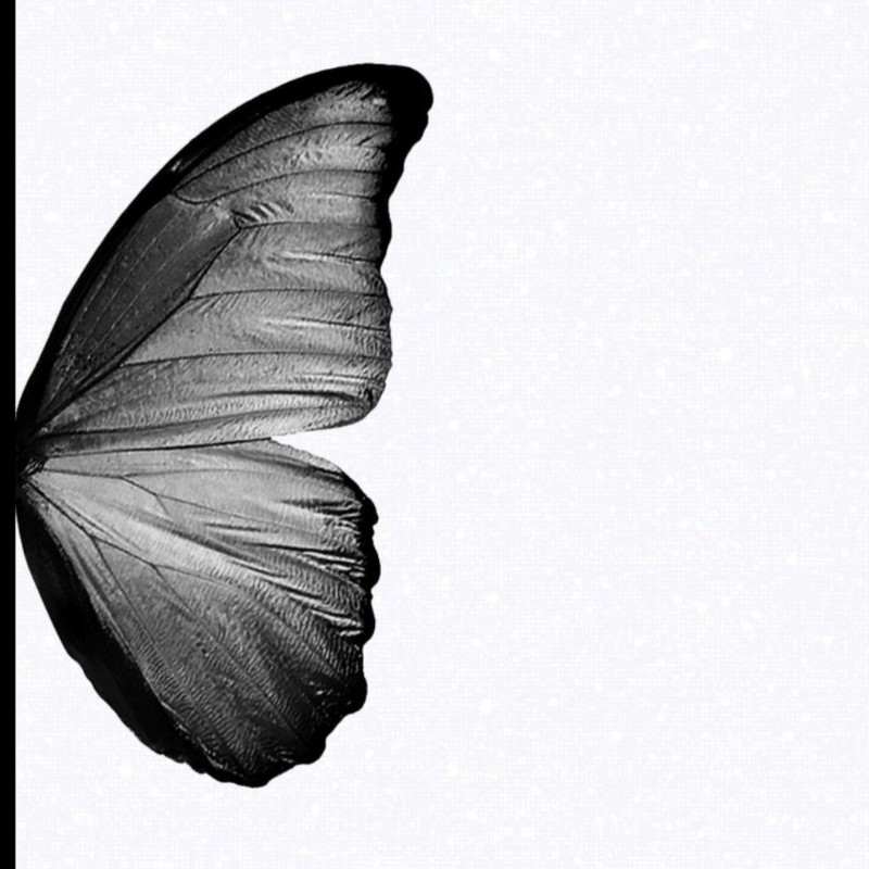 Fancy Filters (@fancy_filters) | Snapchat Stories, Spotlight & Lenses