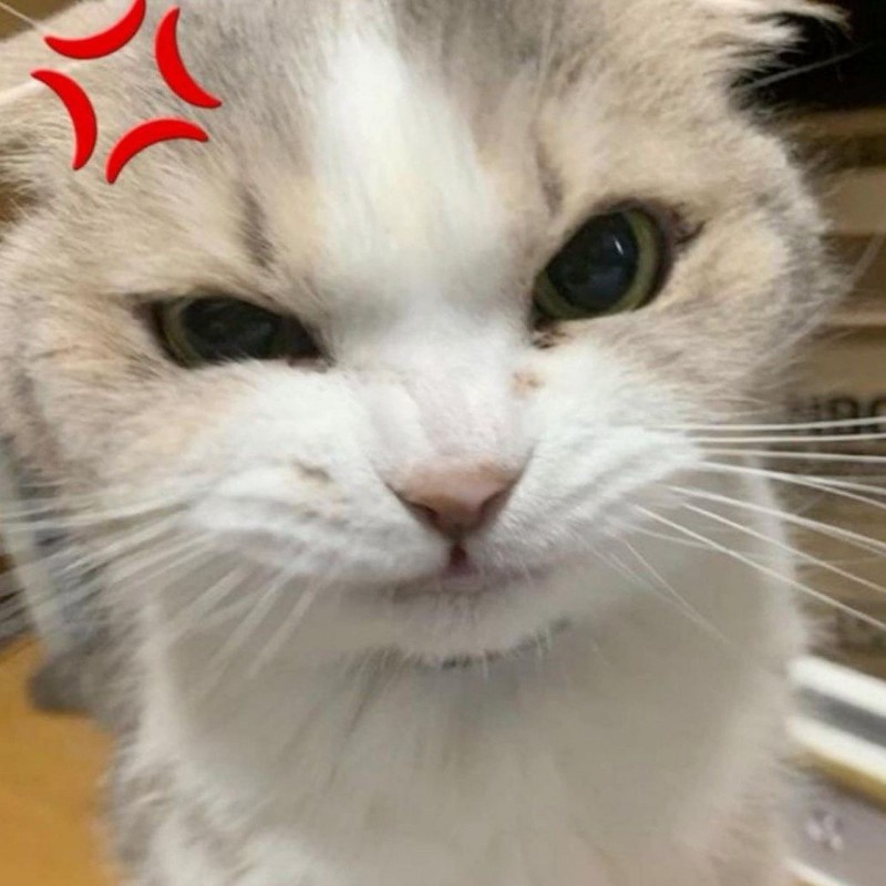 Fancy Text (@fancy_text) | Snapchat Stories, Spotlight & Lenses