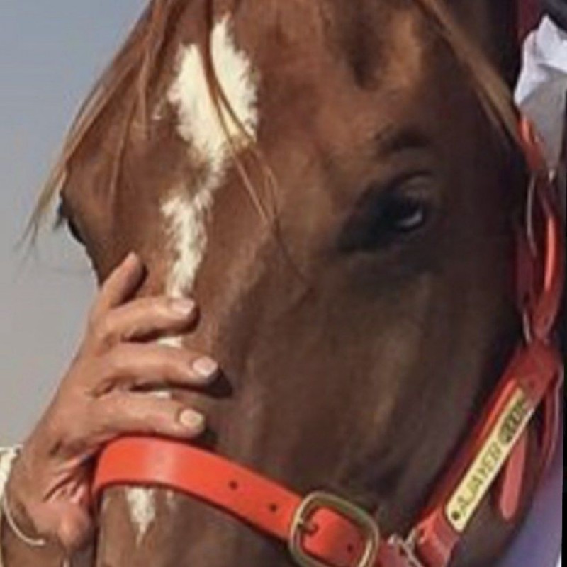 Farah Roushdy (@farahroushdy1) | Snapchat Stories, Spotlight & Lenses