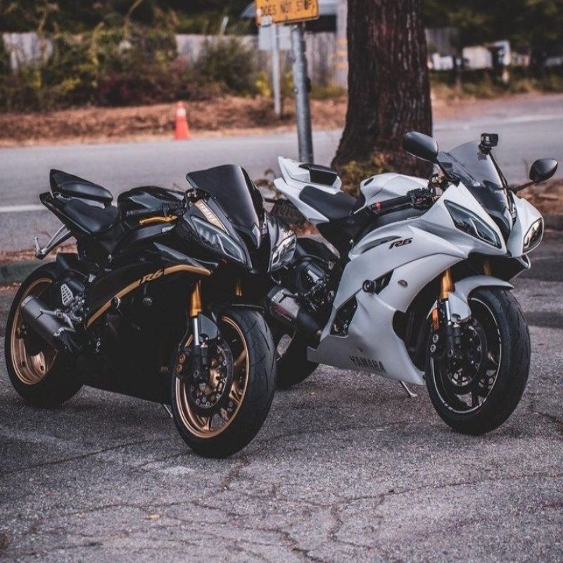 ️Fifi Am 31🇩🇿🇩🇪 (@fatima_amar9888) | Snapchat Stories, Spotlight & Lenses