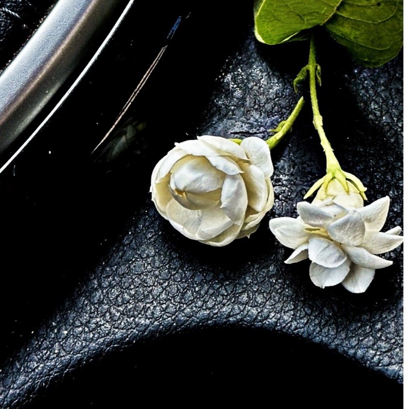 FatoomQassim ||🇸🇦 (@fatoom_qassim) | Snapchat Stories, Spotlight & Lenses