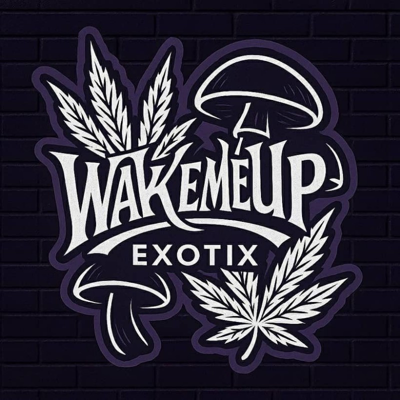 Wakemeup Exotix (@fautebille) | Snapchat Stories, Spotlight & Lenses