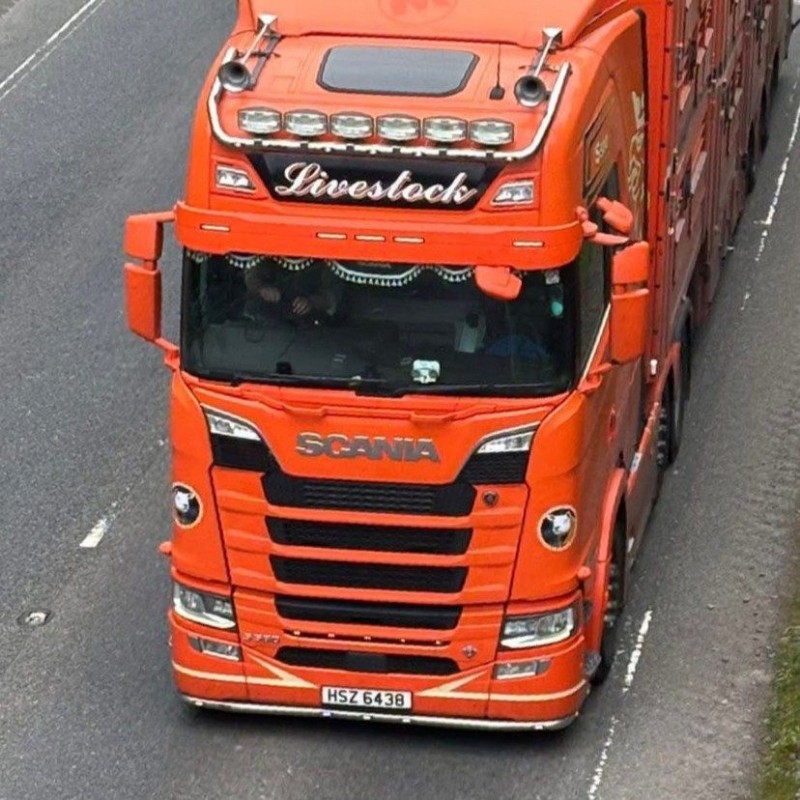 Findlay Boath (@findlayboath) | Snapchat Stories, Spotlight & Lenses