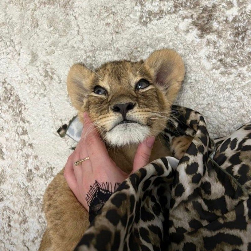 NBM 🐆🤎 (@fit_girl2024) | Snapchat Stories, Spotlight & Lenses