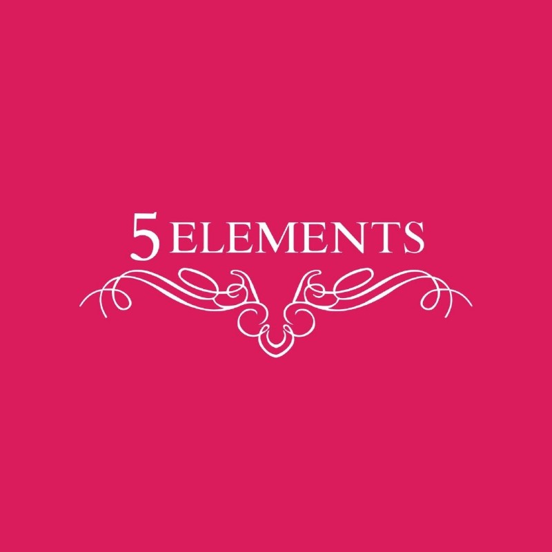 5 Elements by Radhika Gupta (@fiveelements_in) | Snapchat Stories, Spotlight & Lenses