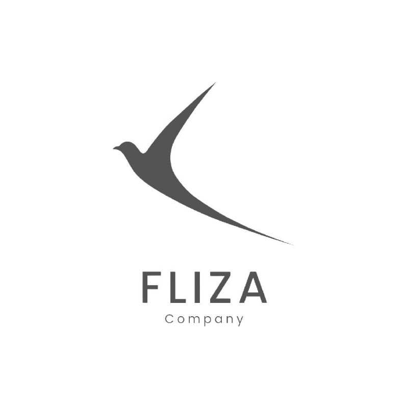 Fliza Company (@fliza_company) | Snapchat Stories, Spotlight & Lenses