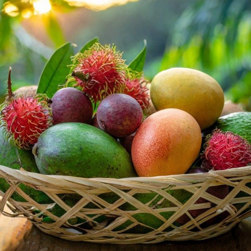 Fruits (@fruits20233467) | Snapchat Stories, Spotlight & Lenses