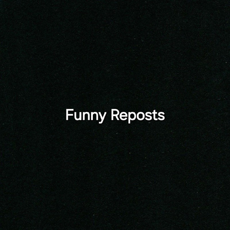 Funny_Reposts (@funny_reposts) | Snapchat Stories, Spotlight & Lenses