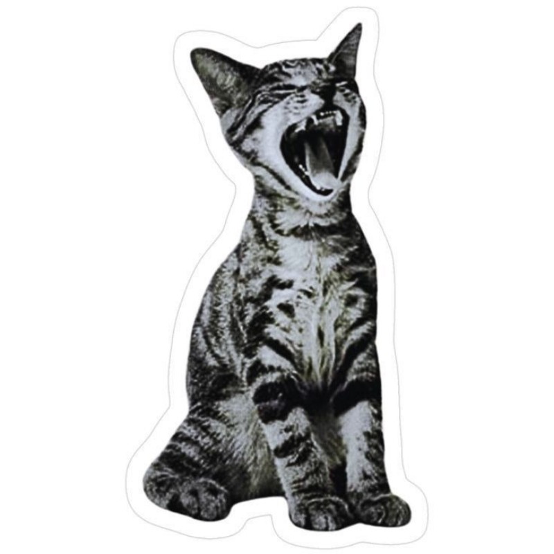 👤🎧🏍 (@gabree_bomba) | Snapchat Stories, Spotlight & Lenses