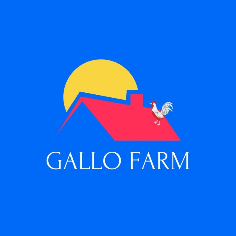 Gallo Farm (@gallofarm) | Snapchat Stories, Spotlight & Lenses