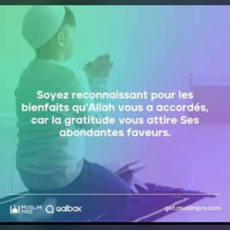 Gamoo Fall (@gamoo_fall) | Snapchat Stories, Spotlight & Lenses